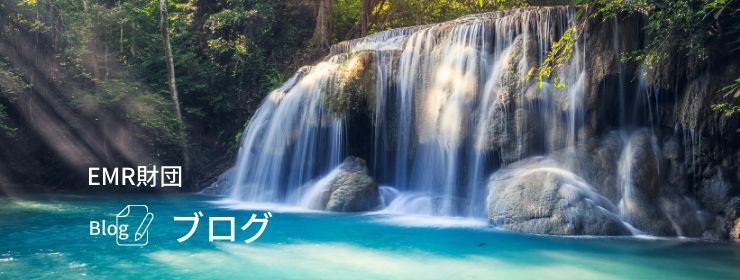 AHA-PEARS(小児傷病者評価・病態安定化)プロバイダーコース - 一般財団法人 エマージェンシー・メディカル・レスポンダー財団（EMR財団）